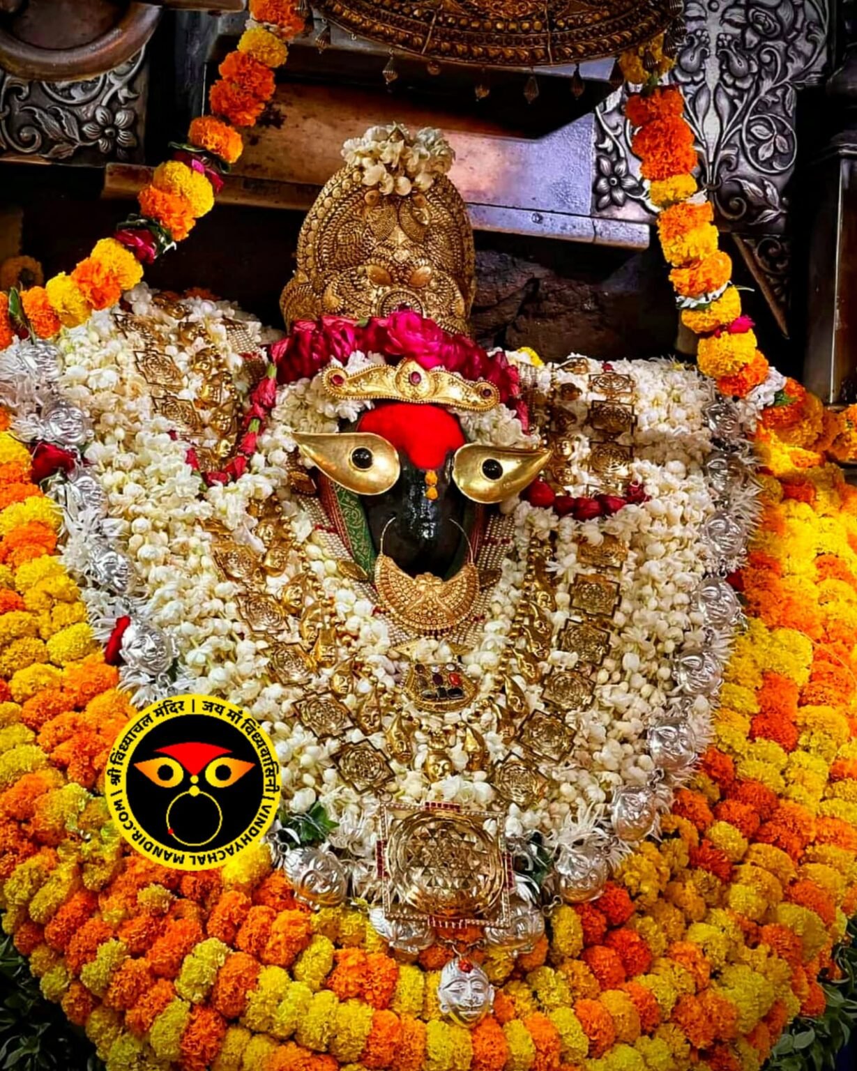 Vindhyachal Temple Photos: Exploring the Divine Beauty 2024 ...
