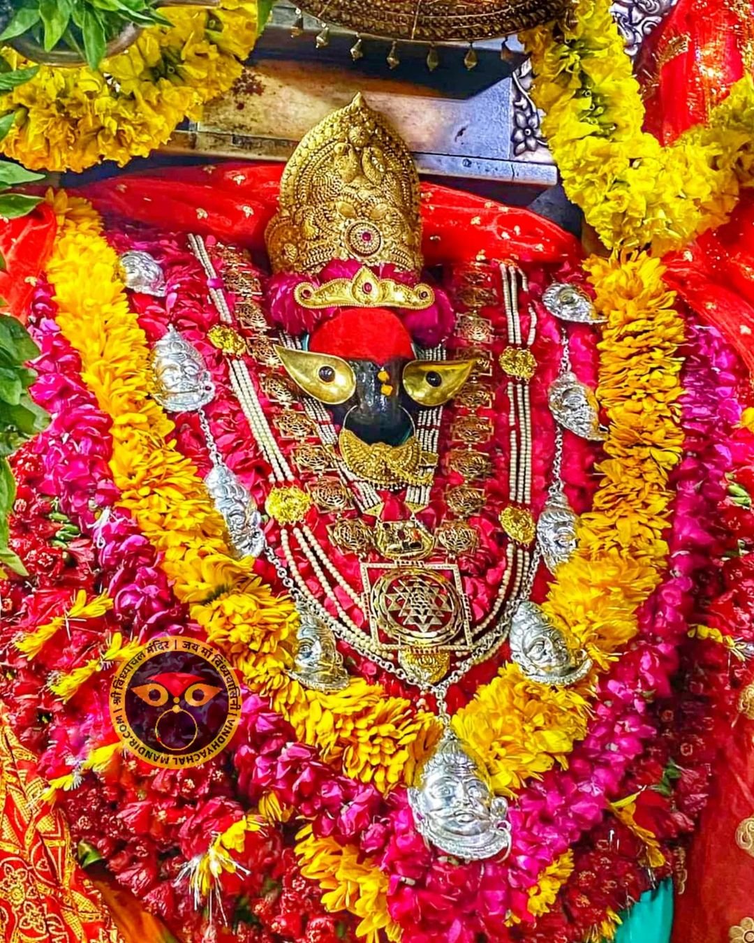 Vindhyachal Temple Photos: Exploring the Divine Beauty 2024 ...